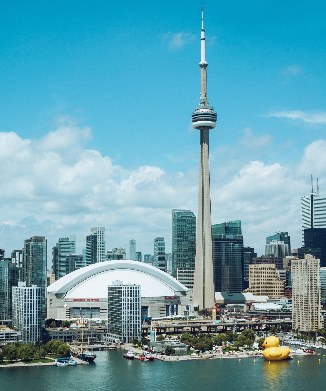 MZIC – We Help You Come To CANADA